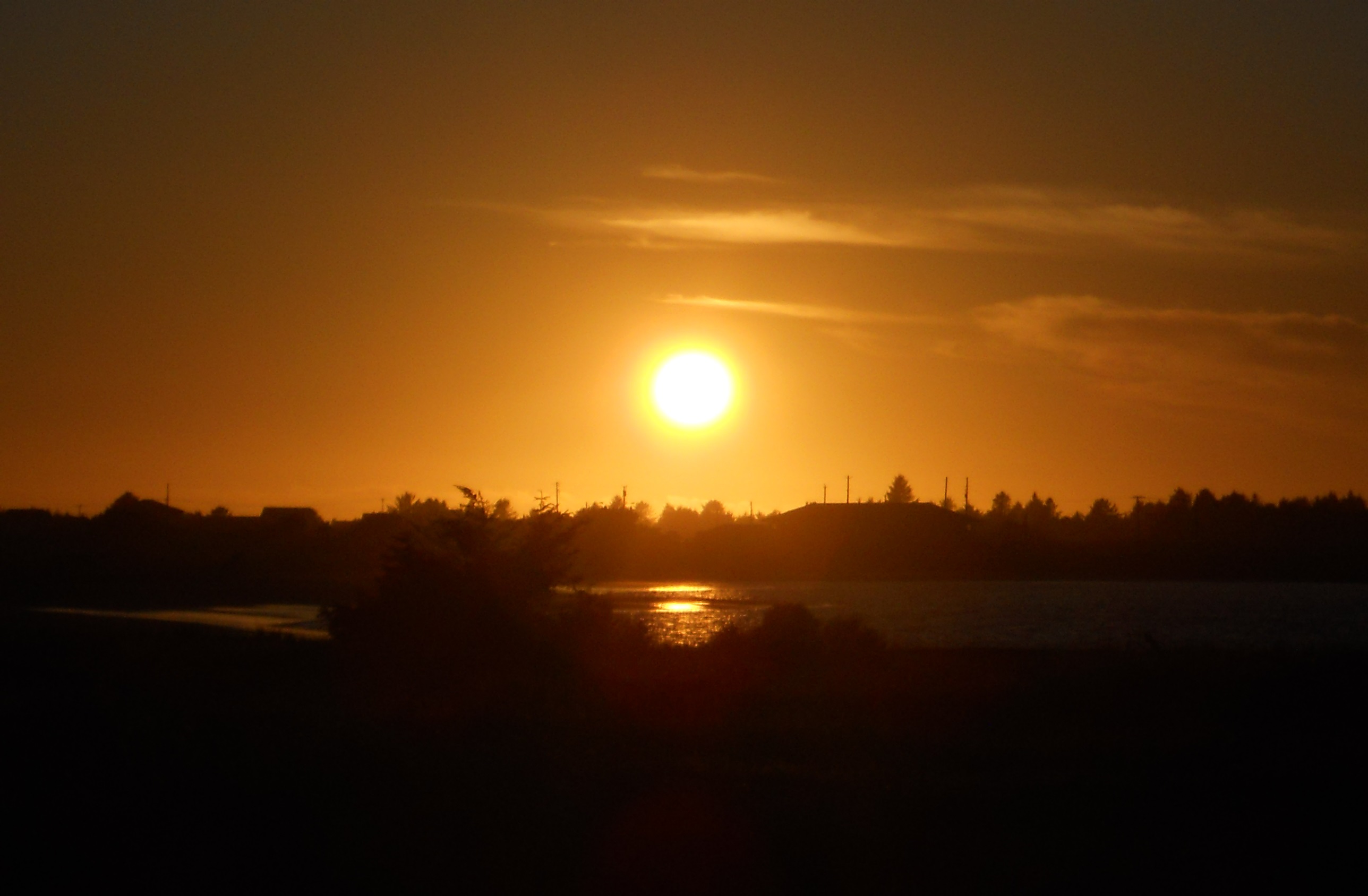 Damon Point Golden Sunset | Pages & Paws
