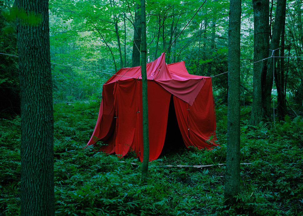 ‘The Red Tent’: The Sisterhood Lives, or ‘Meh’? | Pages & Paws