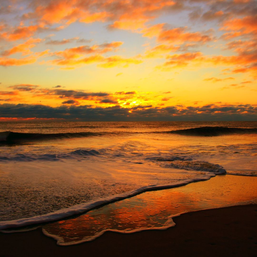 New MG Sci Fi a Kick in the Pants | Pages & Paws